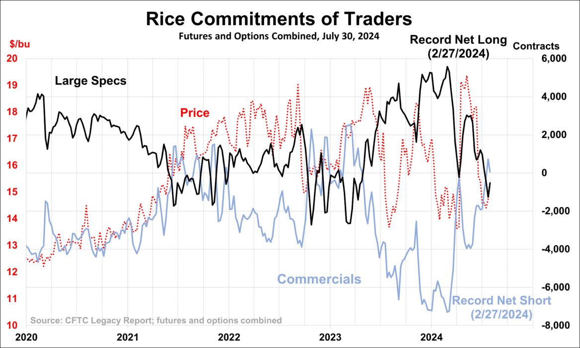 Cotton and Rice COT Analysis | The Brock Report