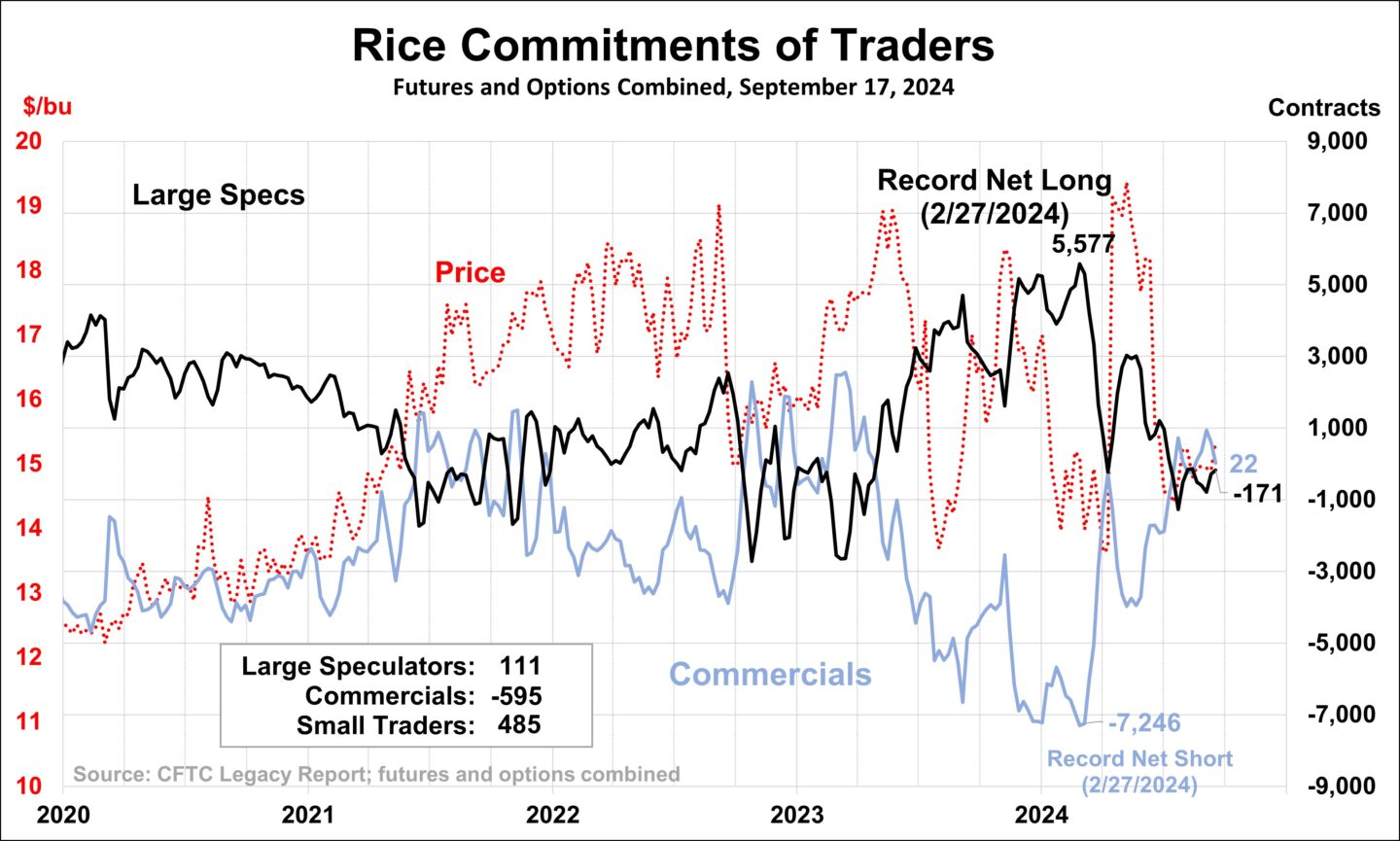 Cotton and Rice COT Analysis | The Brock Report