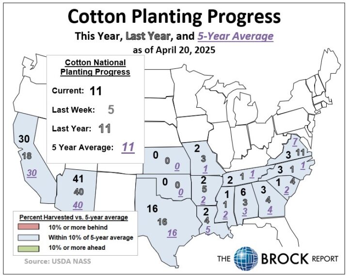 Planting Progress - April 21, 2025 | The Brock Report