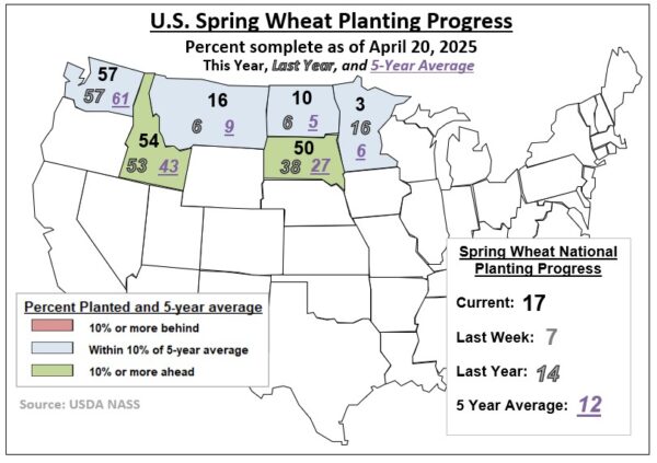 Planting Progress - April 21, 2025 | The Brock Report