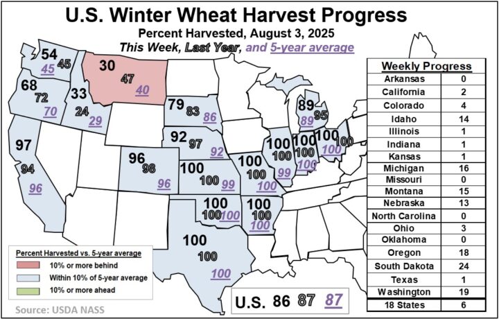 Crop Progress - 8/4/2025 | The Brock Report